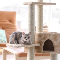 Cat Trees » Human Proof Designs